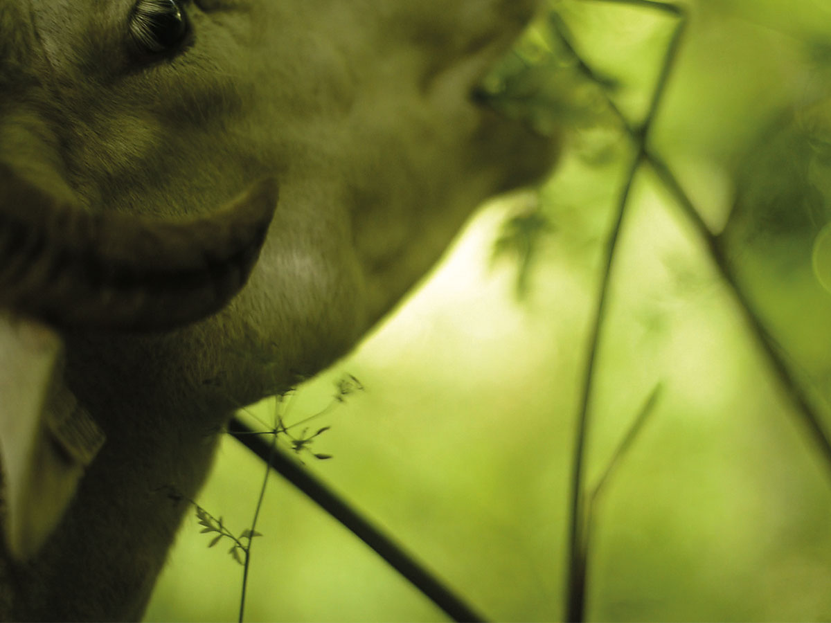 Elsa MAURY - CENTRALE for contemporary art - Brussels